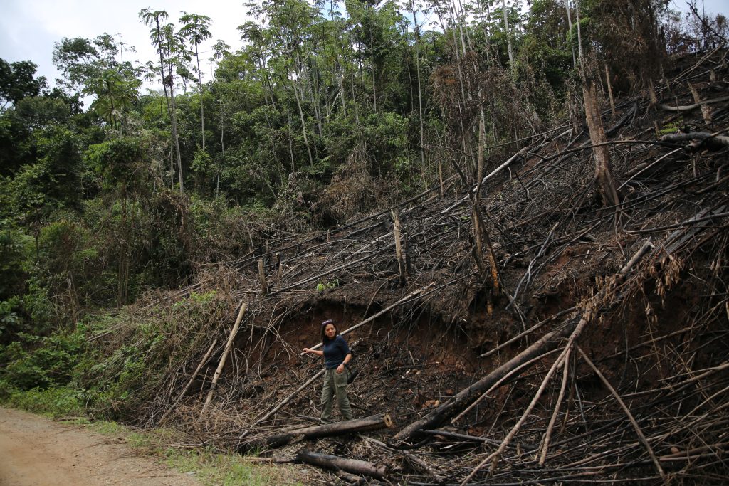 Understanding EUDR and Its Latest Postponement - NHSuperfoods